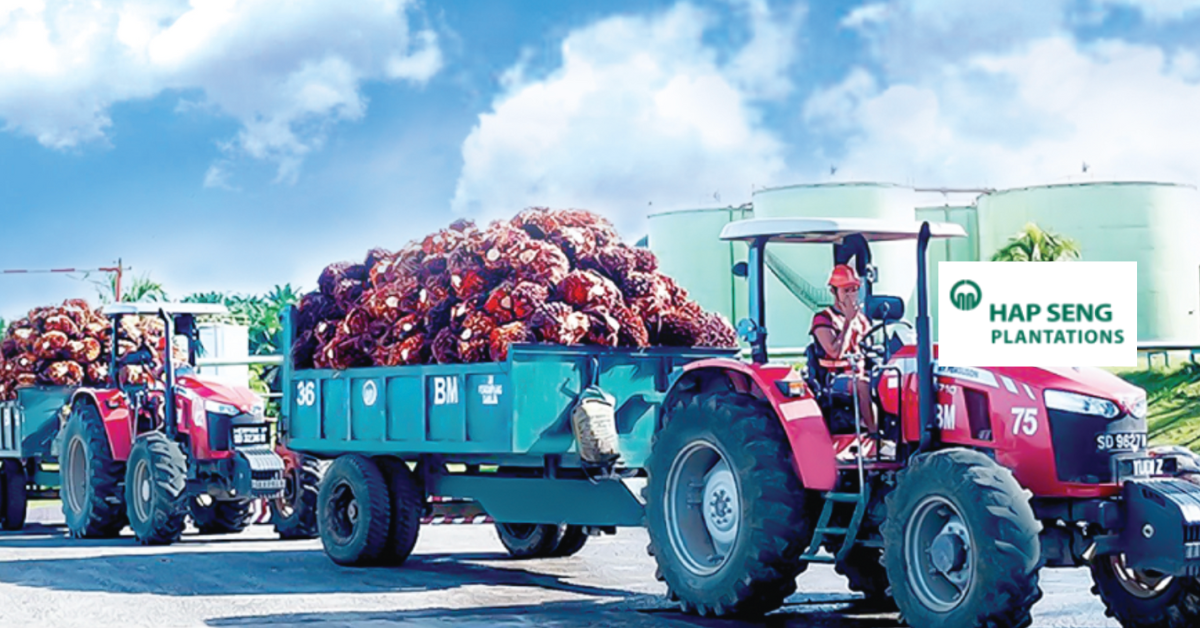 Untung Bersih Suku Kedua Hap Seng Plantation Naik Kepada RM66.90 Juta - The Kapital